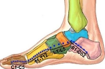 Nerve Reflexology for Pain Management in Newry - Airmid Therapies ...